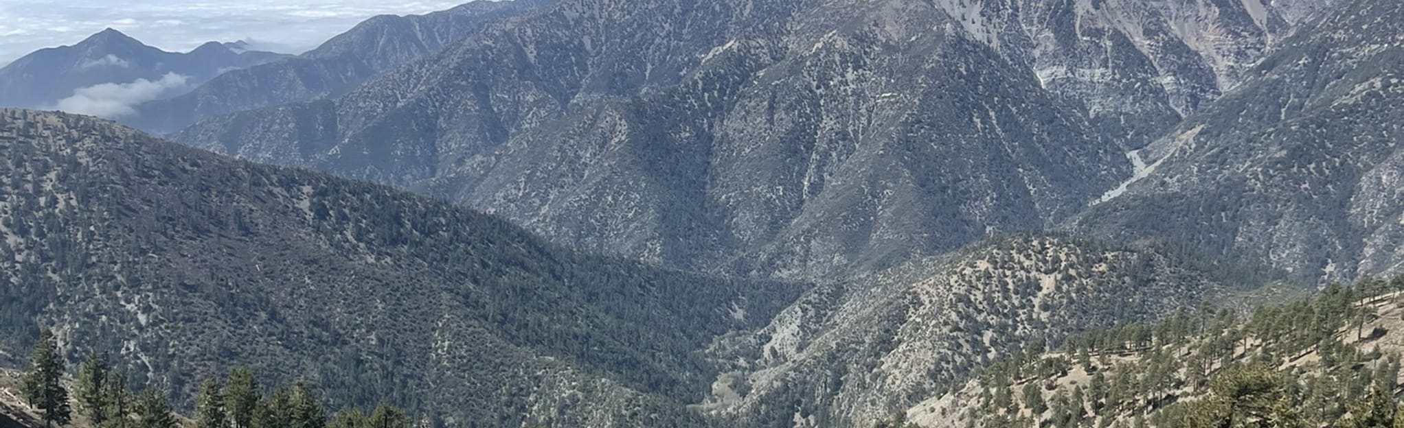 Blue Ridge Truck Trail and PCT: 22 Reviews, Map - California | AllTrails