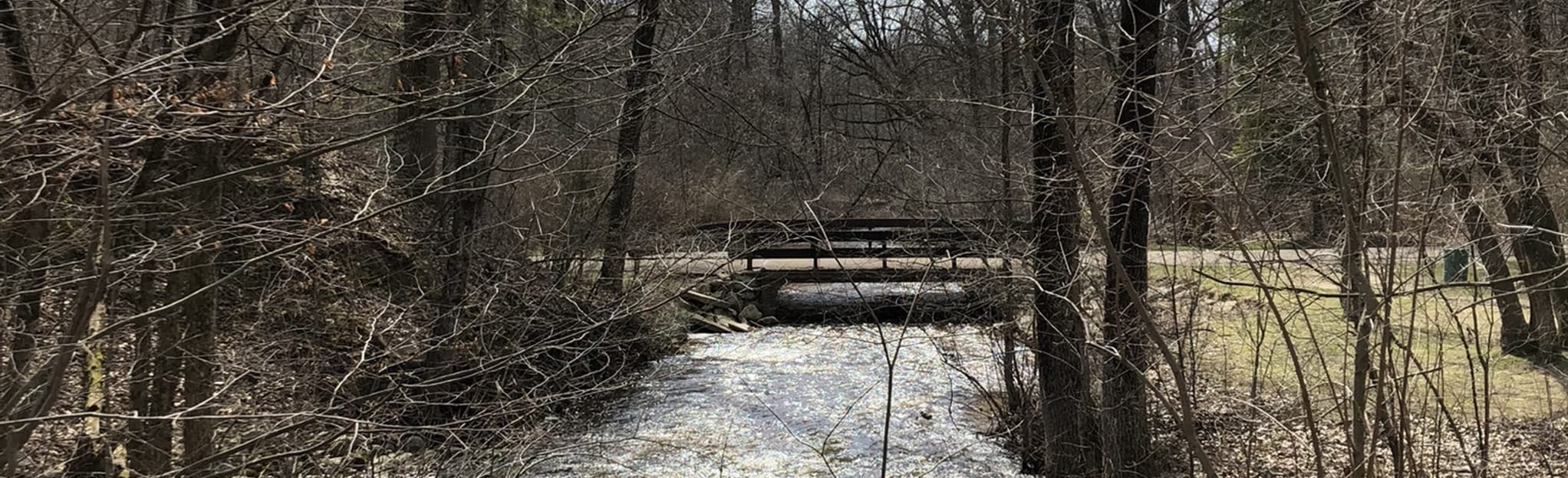 Turkey Trail: 68 Reviews, Map - Michigan | AllTrails