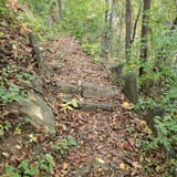 Red Wing Memorial Park Loop, Minnesota - 176 Reviews, Map | AllTrails