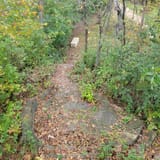 Red Wing Memorial Park Loop, Minnesota - 176 Reviews, Map | AllTrails