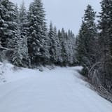 Palouse Divide to Lane's Lookout, Idaho - 35 Reviews, Map | AllTrails