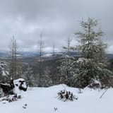 Palouse Divide to Lane's Lookout, Idaho - 35 Reviews, Map | AllTrails