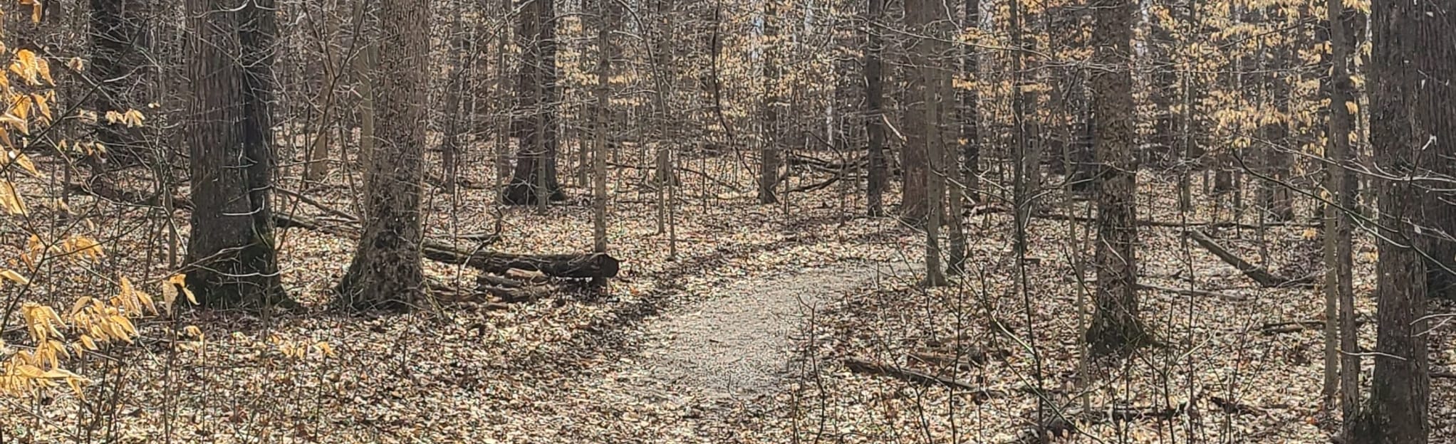 Tall Pines Trail | Map, Guide - Indiana | AllTrails