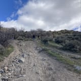 White Rock Trail, Utah - 53 Reviews, Map | AllTrails