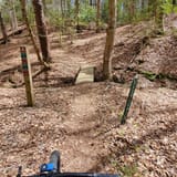 Marl Ravine Trail, Virginia - 52 Reviews, Map | AllTrails