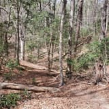 Marl Ravine Trail, Virginia - 52 Reviews, Map | AllTrails