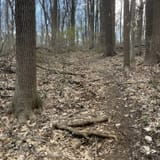 Bonner Park Loop, Pennsylvania - 246 Reviews, Map | AllTrails