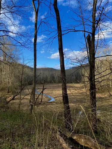 Best Horseback Riding Trails in Mammoth Cave National Park | AllTrails