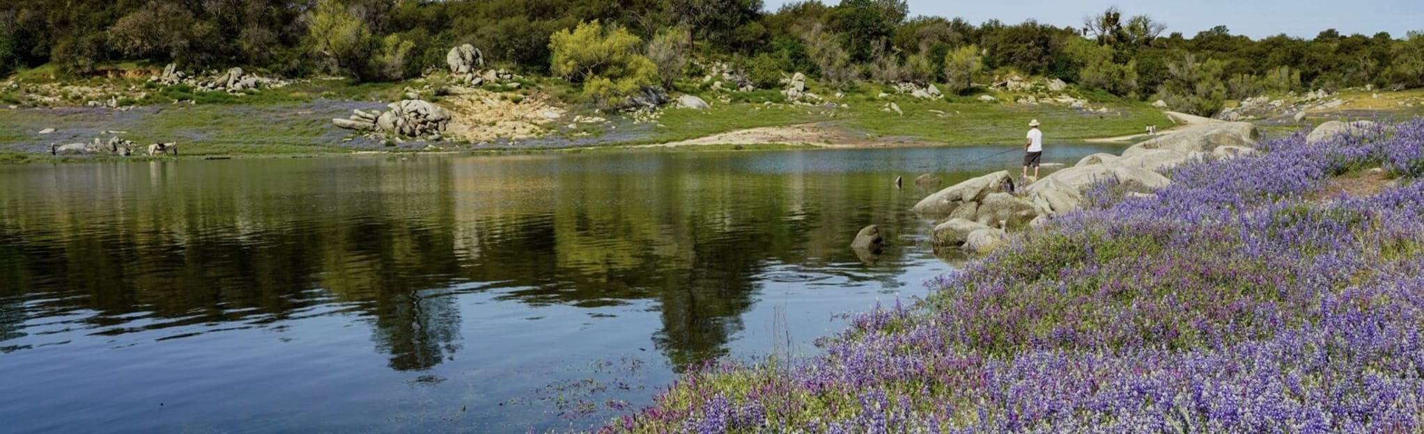 Folsom Lake Granite Bay Trail - California | AllTrails