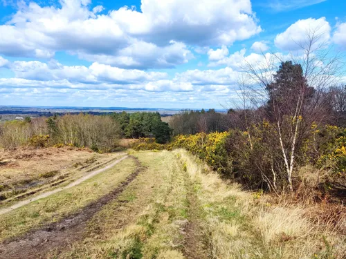 2023 Best Fishing Trails in High Weald Area of Outstanding Natural ...