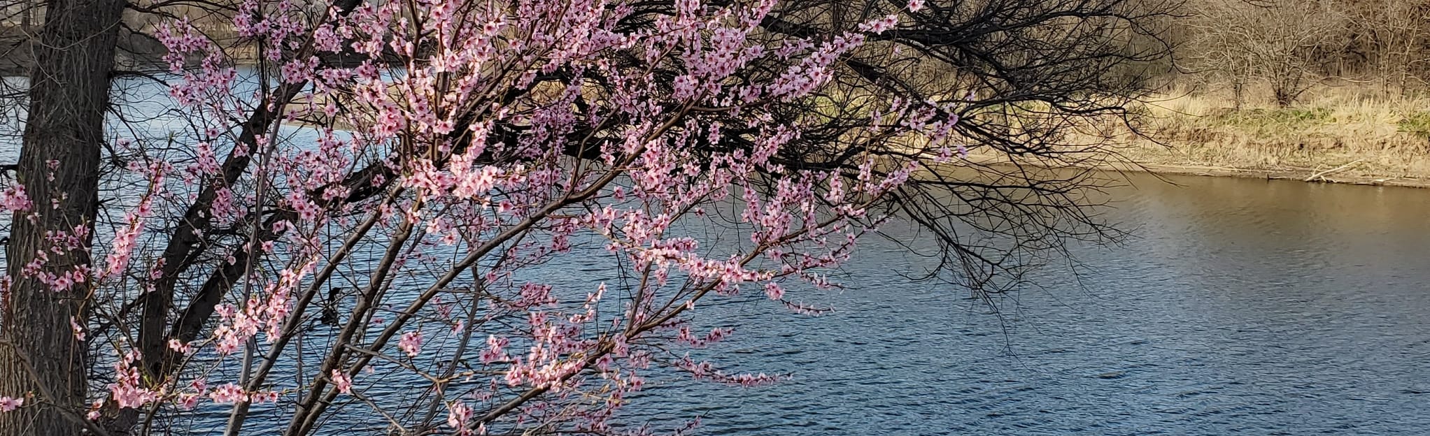 Linear Trail, Kansas - 178 Reviews, Map | AllTrails