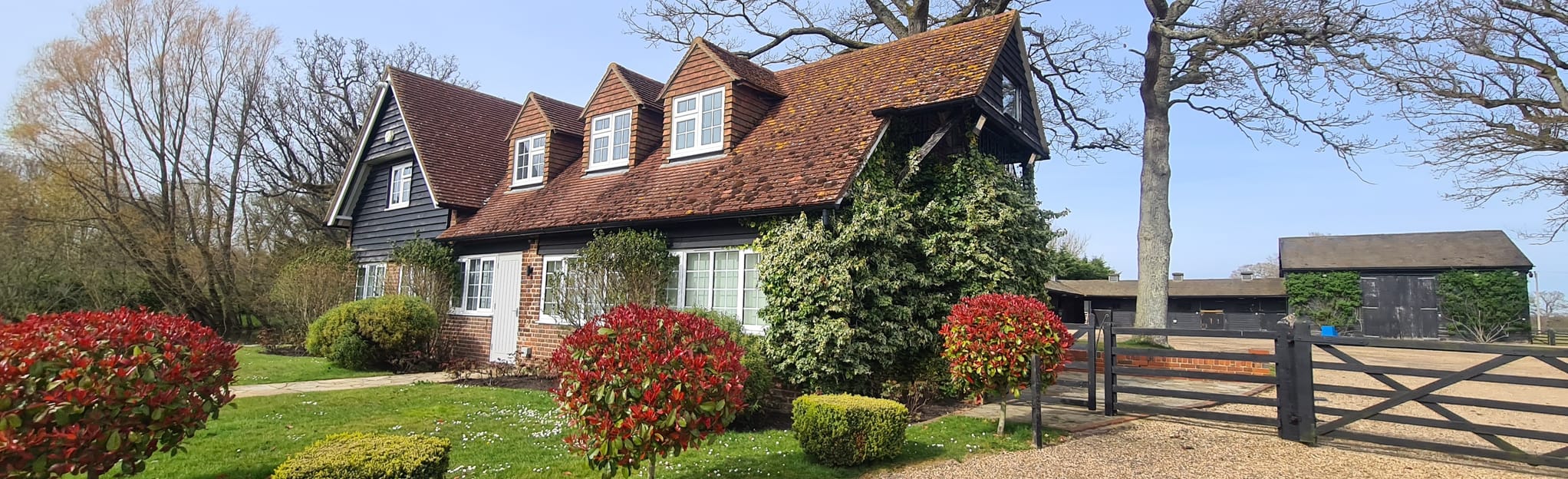 Oaken Wood Circular, Surrey, England - 10 Reviews, Map | AllTrails