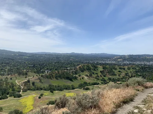 10 Best Hikes and Trails in Shell Ridge Open Space | AllTrails
