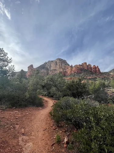 10 Best Easy Trails in Coconino National Forest | AllTrails