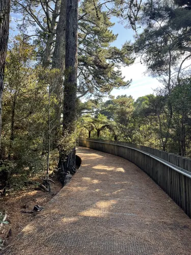 Best Hikes and Trails in Unsworth Reserve | AllTrails