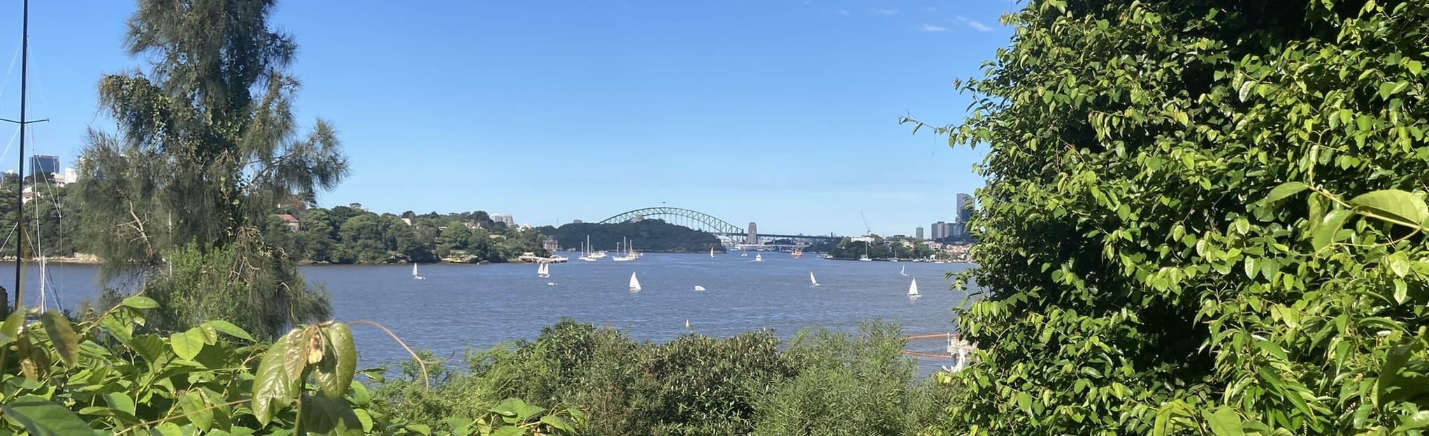 Clarkes Point Reserve and Kellys Bush Walk: 33 Reviews, Map - New South ...