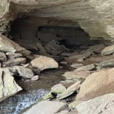Bunkum Cave Trail, Tennessee - 195 Reviews, Map | AllTrails