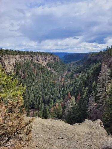 Best Hikes and Trails in Chasm Provincial Park | AllTrails