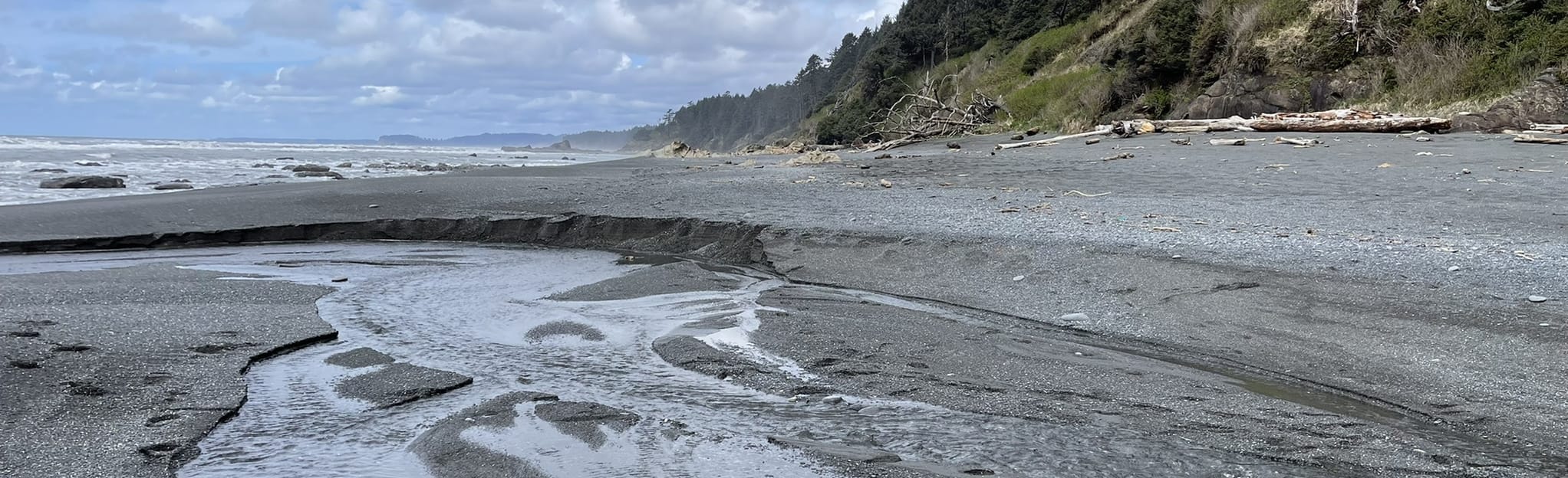 Kalaloch 3rd Beach Trail - Washington | AllTrails