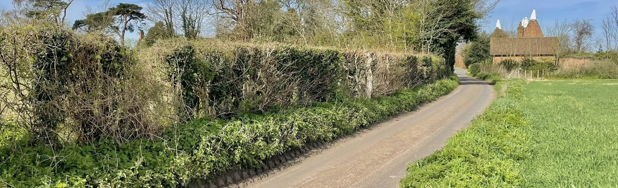 Via Francigena, Segment 1: Canterbury - Shepherdswell, Kent, England ...