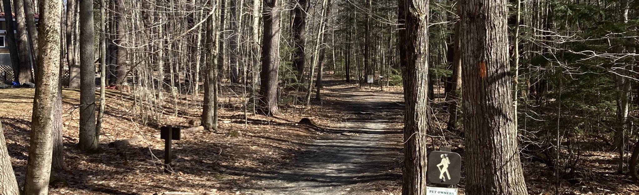Knight Woods Trail: 39 Reviews, Map - Maine | AllTrails