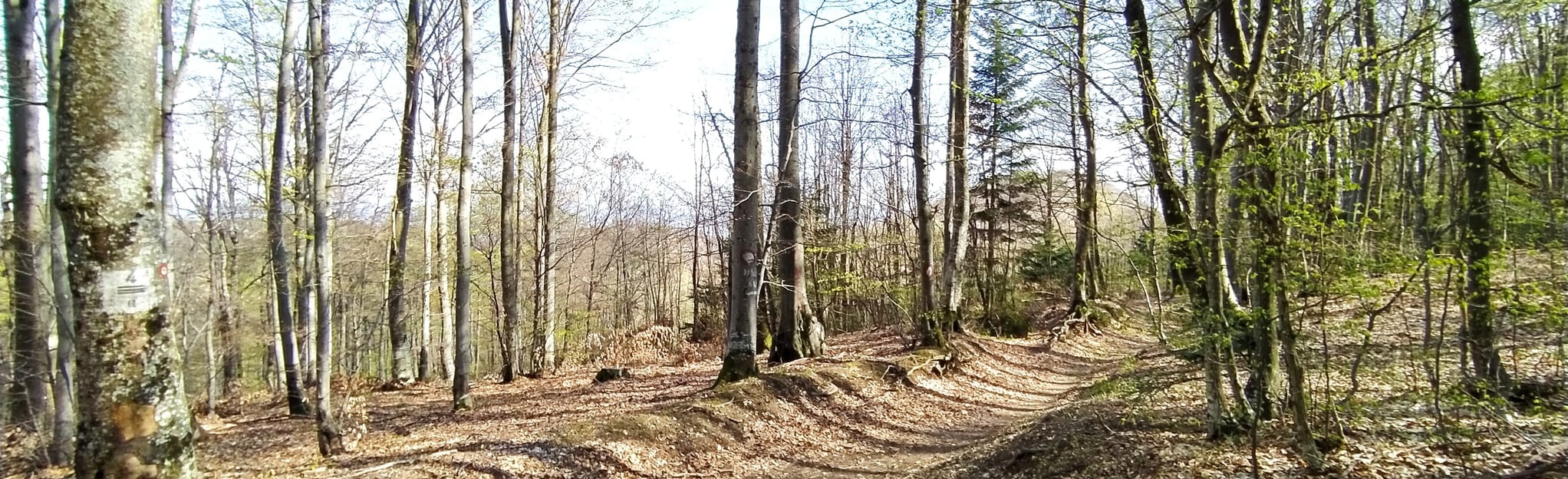 Markuševec - Gračansko Dolje - Stara Lugarnica - Njivice, Zagreb ...