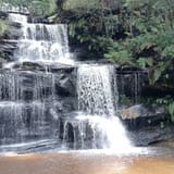 Ironbark Falls Track, New South Wales, Australia - 34 Reviews, Map ...