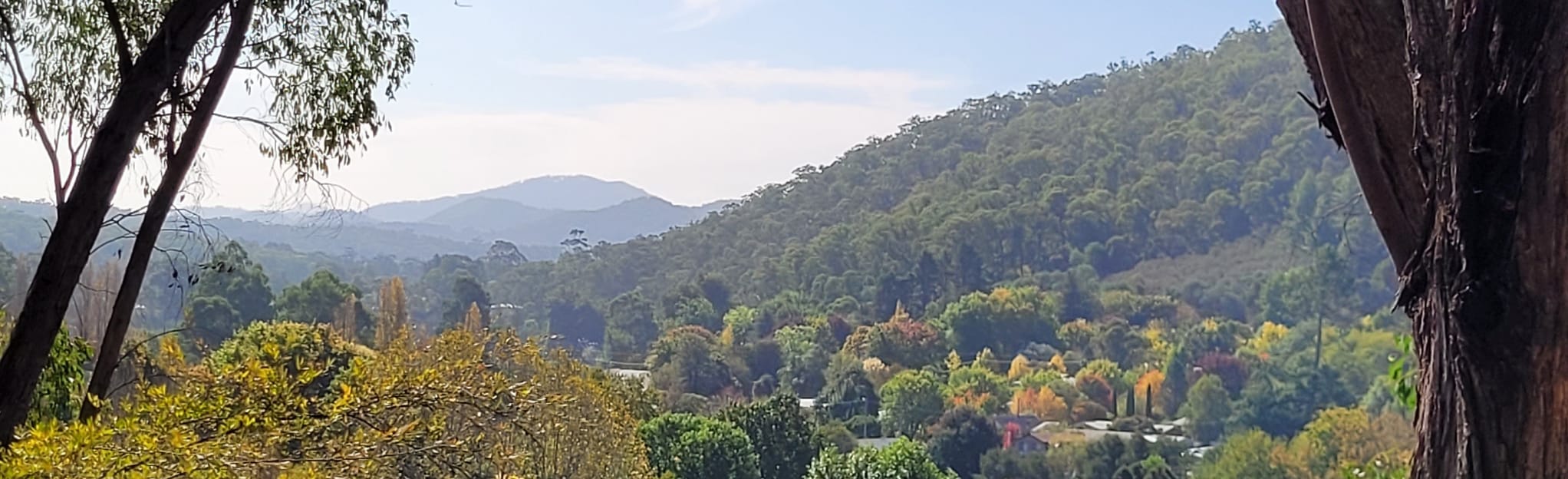 Jamieson Stroll | Map, Guide - Victoria, Australia | AllTrails