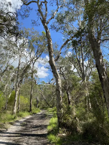 Best Hikes and Trails in Mooloolah River National Park | AllTrails