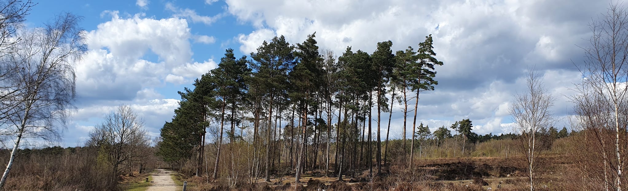 Eridge Rocks and Broadwater Forest Circular, Kent, England - 38 Reviews ...