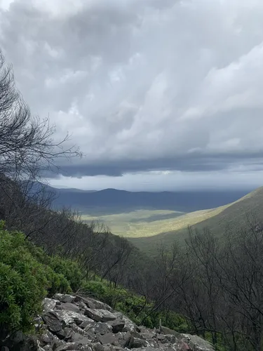 10 Best Hikes and Trails in Stirling Range National Park | AllTrails