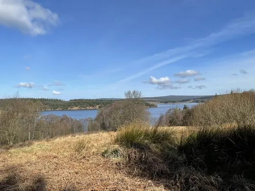 10 Best Walking Trails in Kielder Forest | AllTrails