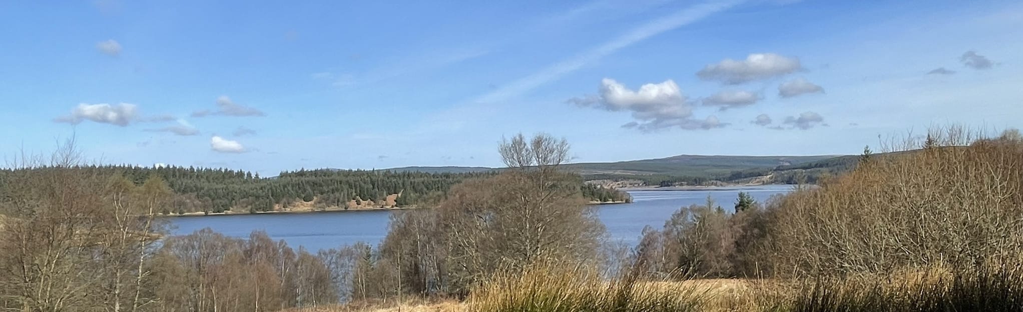 Kielder Water Lakeside Way - Northumberland, England | AllTrails
