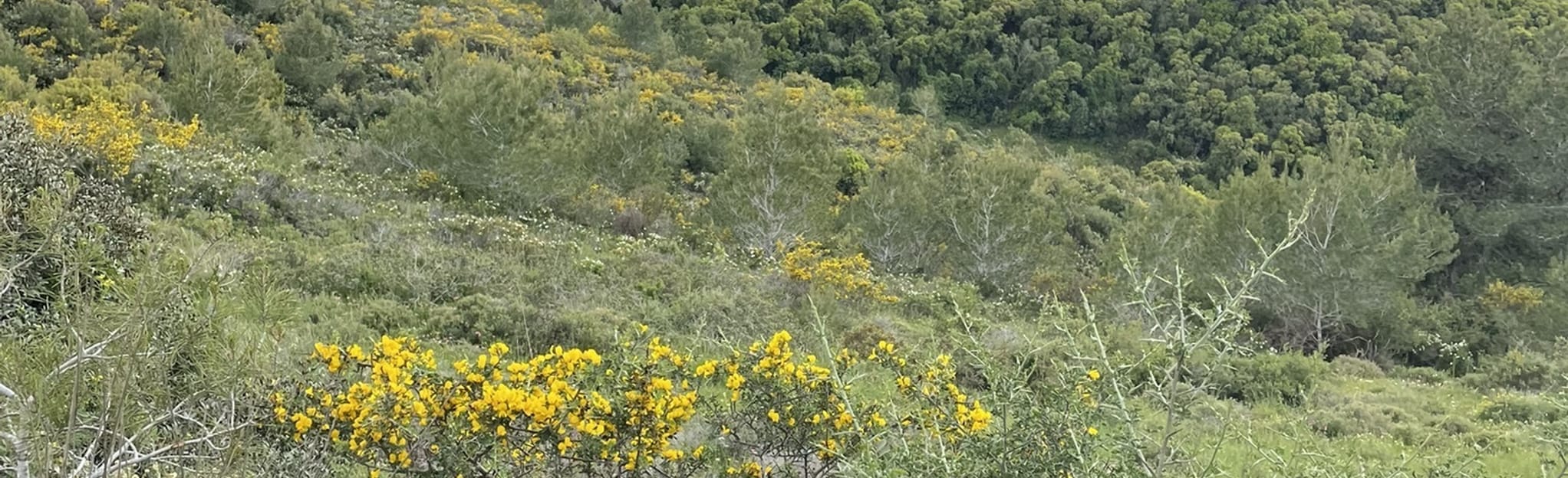 Carmel Mountains, Gulf Viewpoint and Haifa Forest | Map, Guide - Haifa ...