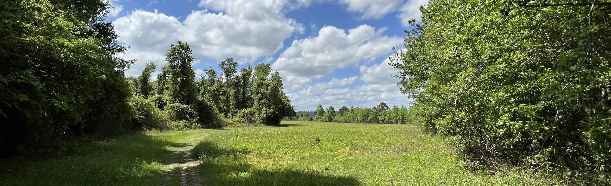 Phipps Park East and West Loop - Florida | AllTrails