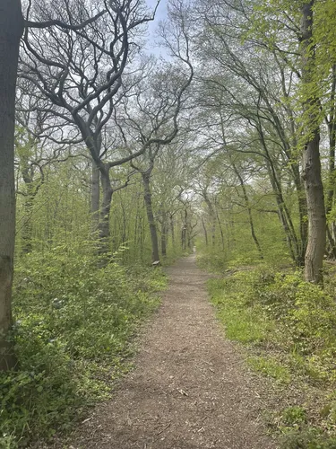 Best Hikes and Trails in Ruislip Woods National Nature Reserve | AllTrails