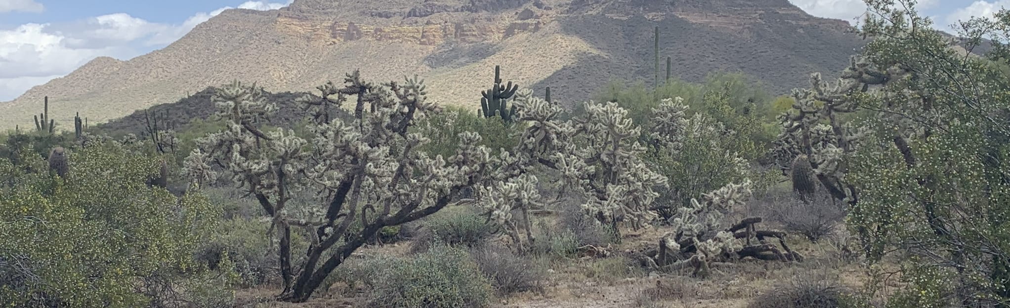 Moon Rock Trail | Map, Guide - Arizona | AllTrails