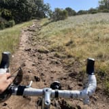 River to Ridge Trail, California - 599 Reviews, Map | AllTrails