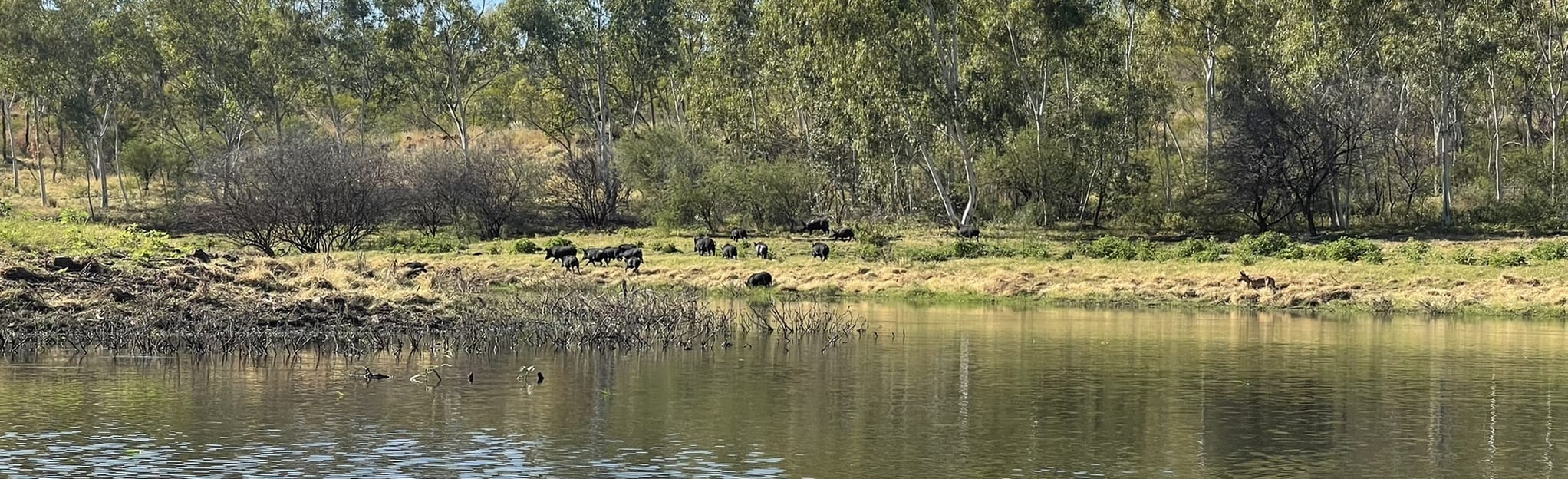 Corella Dam Paddle: 2 Reviews, Map - Queensland, Australia | AllTrails