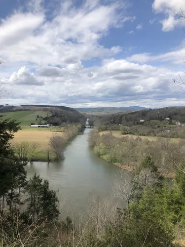 Best Forest Trails in Wingina | AllTrails