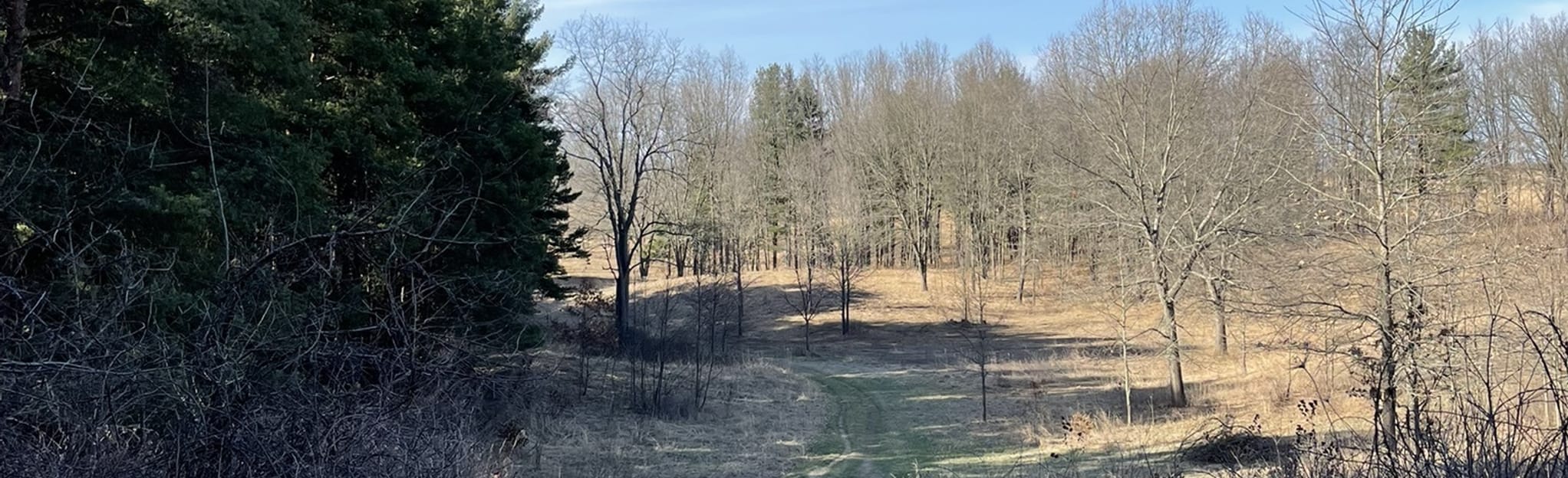 Silo Field, Michigan - 26 Reviews, Map | AllTrails