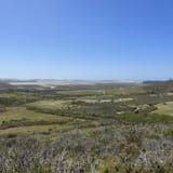 Crespi Trail, California - 224 Reviews, Map | AllTrails