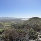 Crespi Trail, California - 224 Reviews, Map | AllTrails