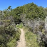 Crespi Trail, California - 224 Reviews, Map | AllTrails