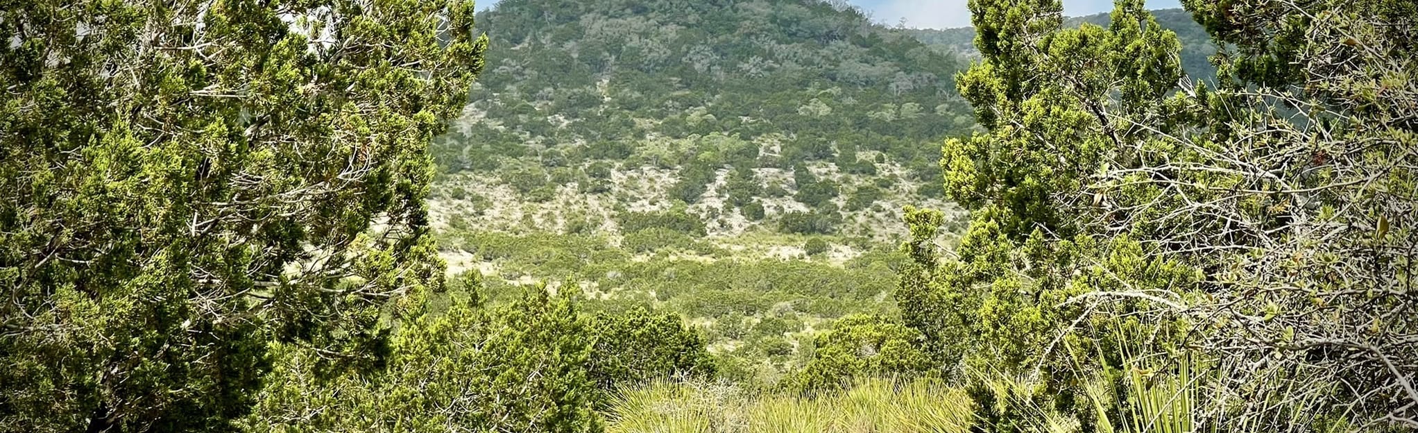 Wilderness Trail, Spring Branch, and Twin Peaks Loop - Texas | AllTrails