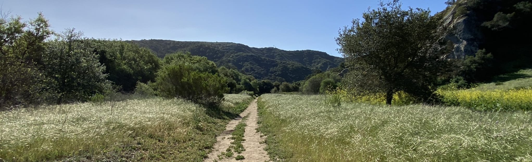 Bommer Ridge, Laurel Canyon and Laguna Ridge Trail Loop: 91 Reviews ...