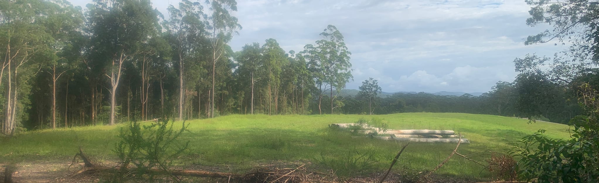 Coramba Mountain via Hopes Road and Rocky Trail - New South Wales ...
