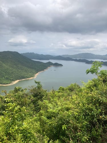 2023 Best 10 Forest Trails in Tai Po | AllTrails
