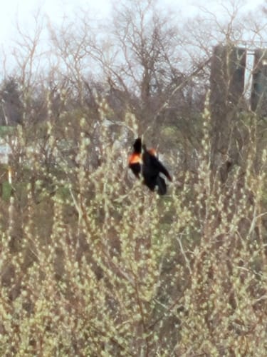 Best Hikes and Trails in North Strabane Park | AllTrails