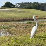 Largo Nature Preserve Loop, Florida - 392 Reviews, Map | AllTrails